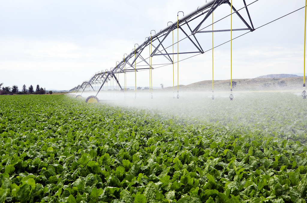 Ag Water @ Oregon State
